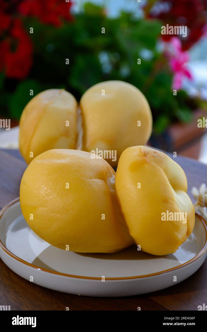 Italian semi hard handmade smoked scamorza cheese, from cow milk from ...