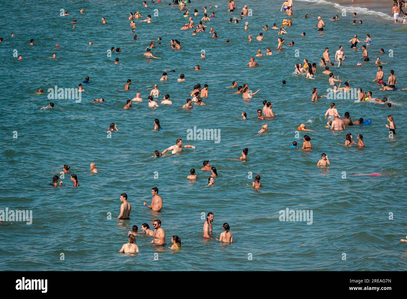 Many people bathing on a beach Stock Photo - Alamy