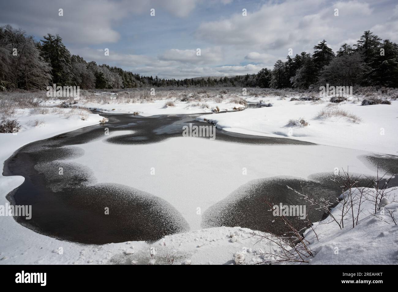 Frozen Meadow near Black Moshannon State Park Stock Photo - Alamy