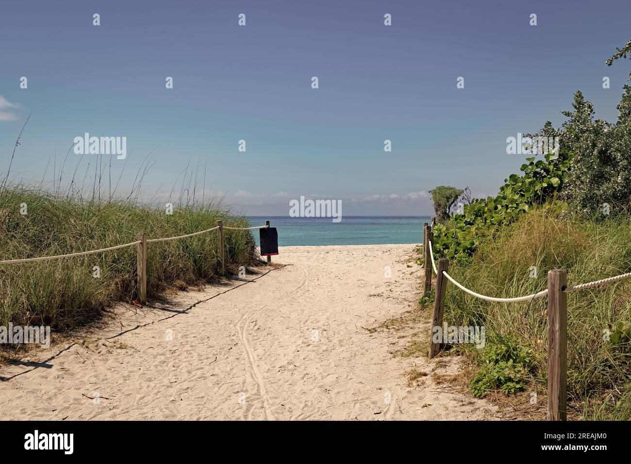 summer pathway. empty road pathway outdoor. way pathway alley. photo of ...