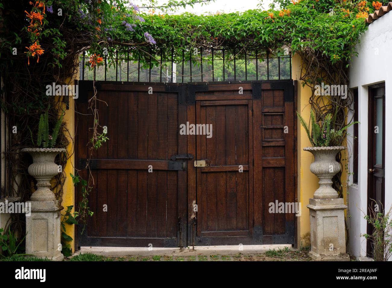 Vine and gate and flowers hi-res stock photography and images - Alamy