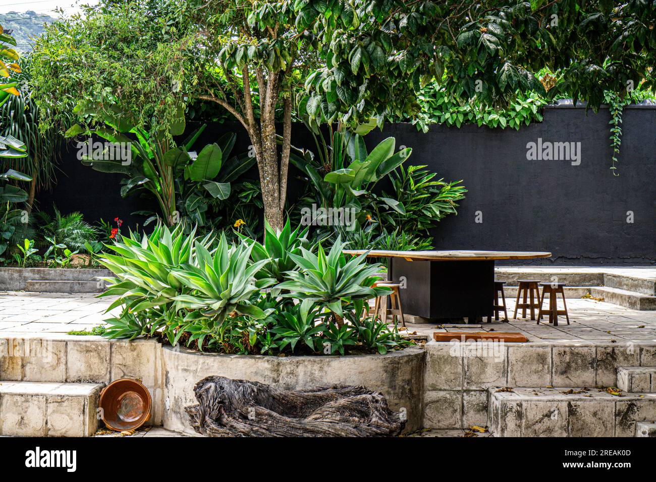 Seating around tree hi-res stock photography and images - Alamy