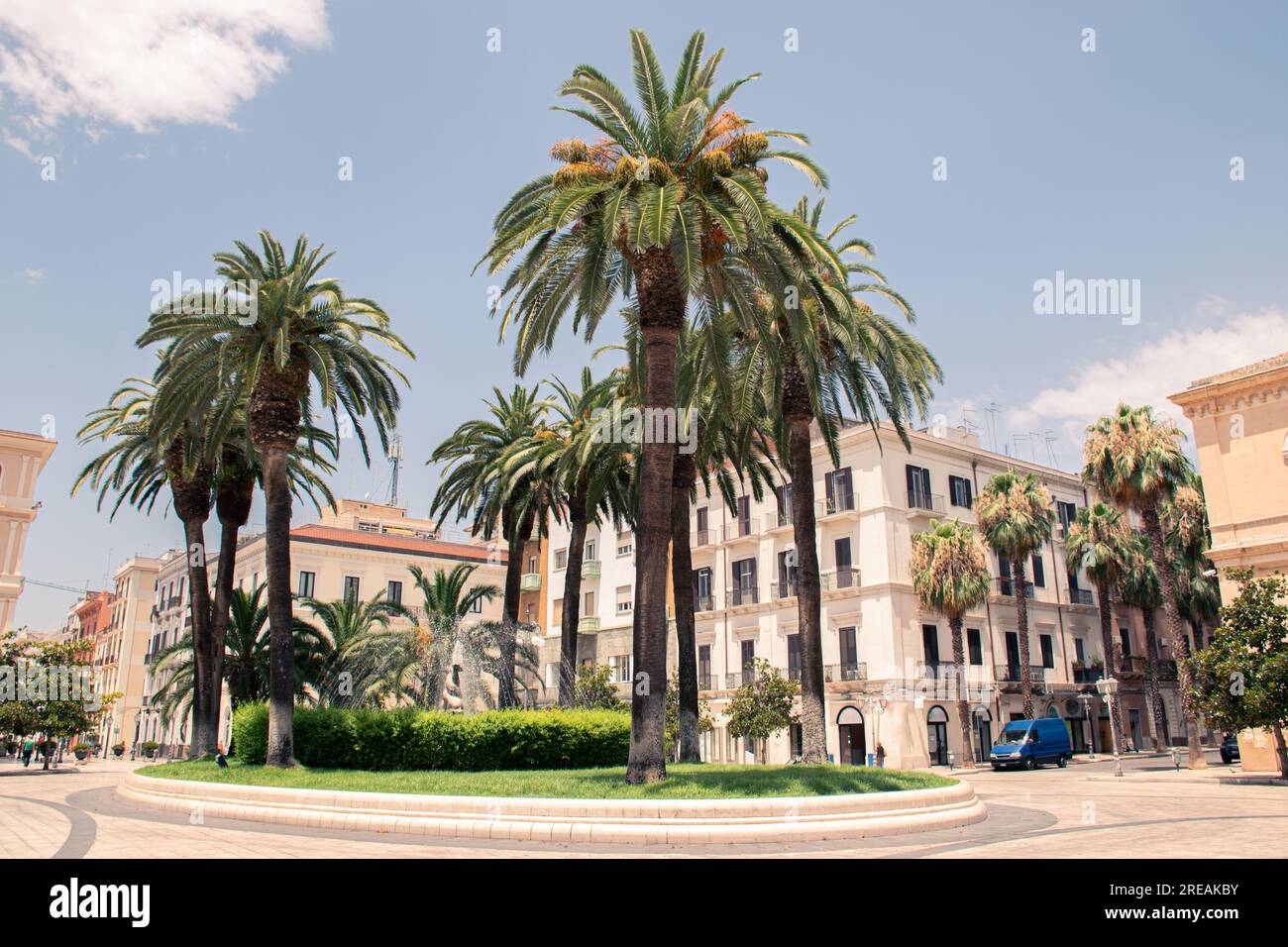 Palm trees in main hi-res stock photography and images - Alamy
