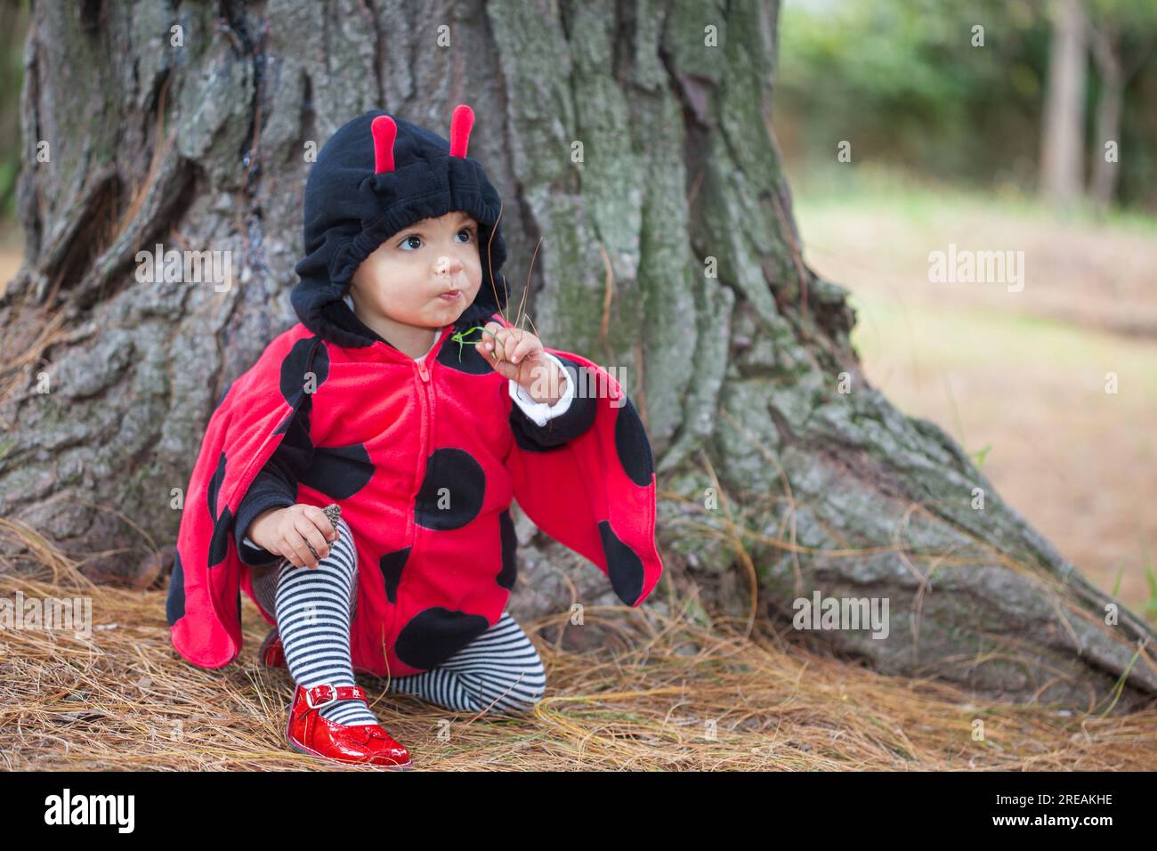 Ladybug Costume Baby