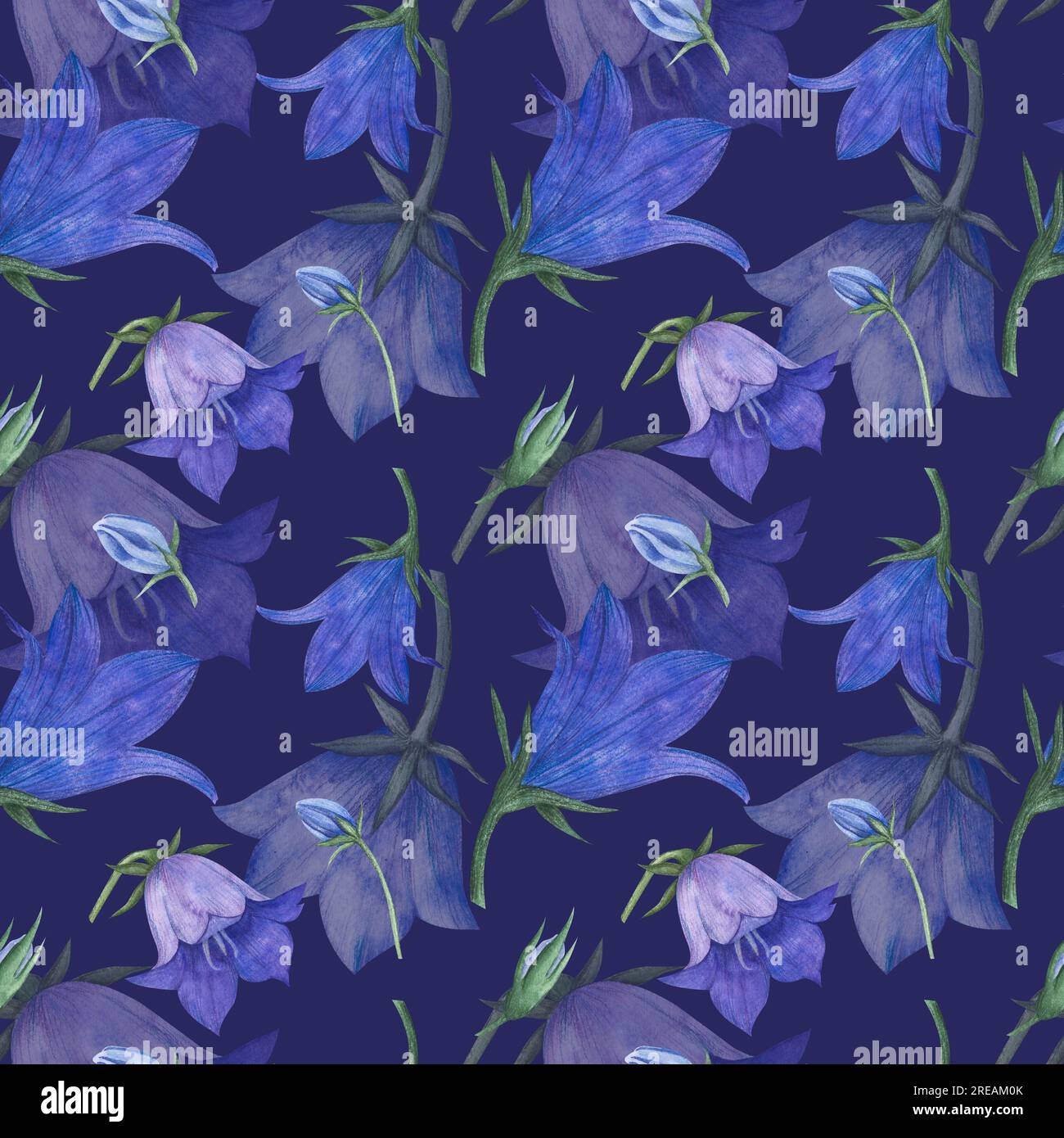 Seamless pattern with bluebell, spreading bellflower flowers Campanula ...