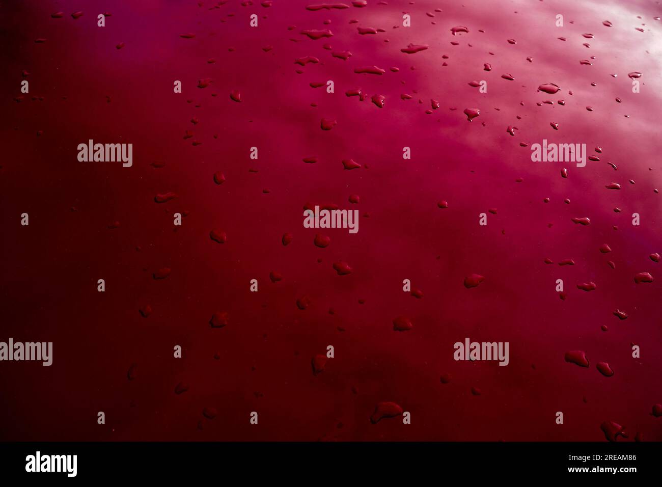Water drops on saturated red glossy surface Stock Photo - Alamy