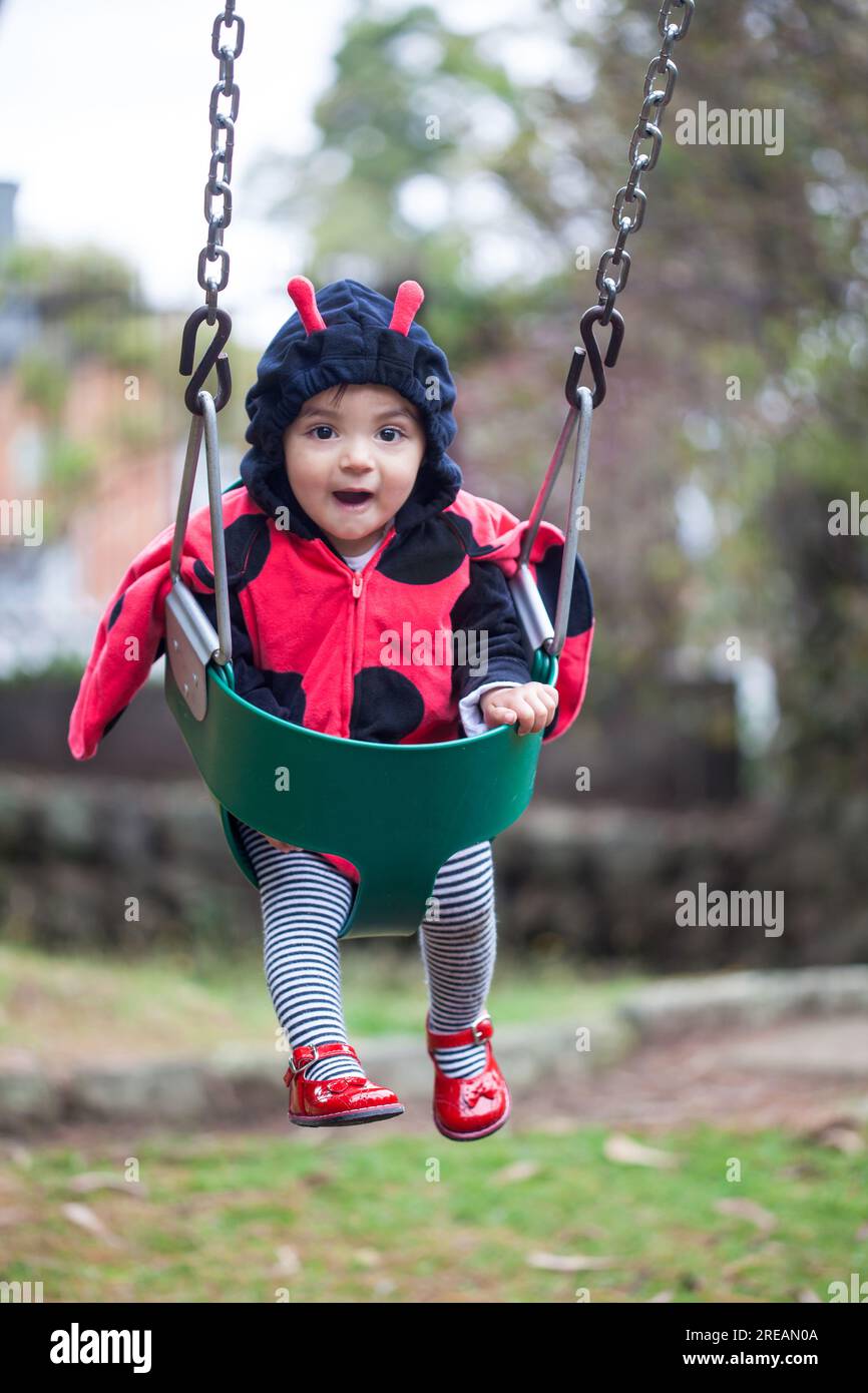 Little baby girl wearing a ladybug costume sitting on a toddler Swing ...