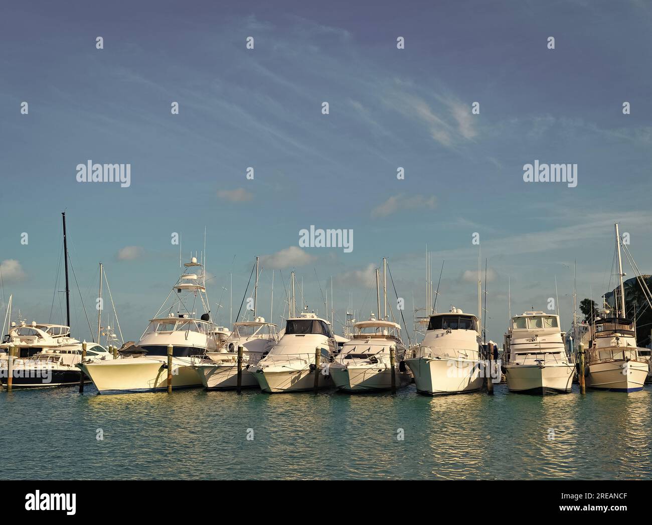 yacht row at seaside harbour. yacht at seaside harbour in summer. yacht ...