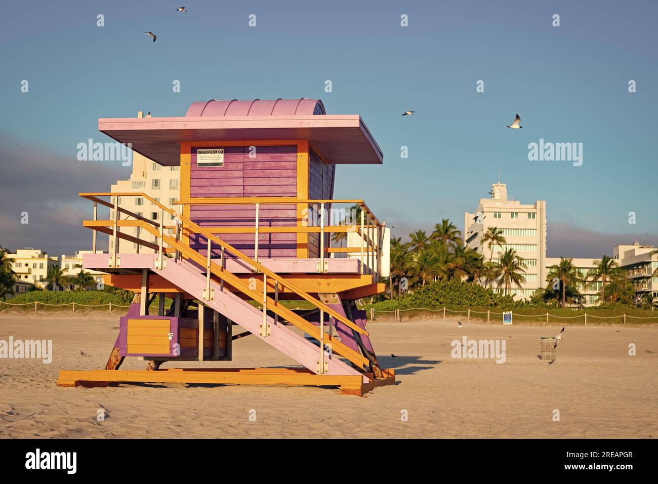 lifeguard at sunny miami beach. lifeguard at miami beach in summer ...