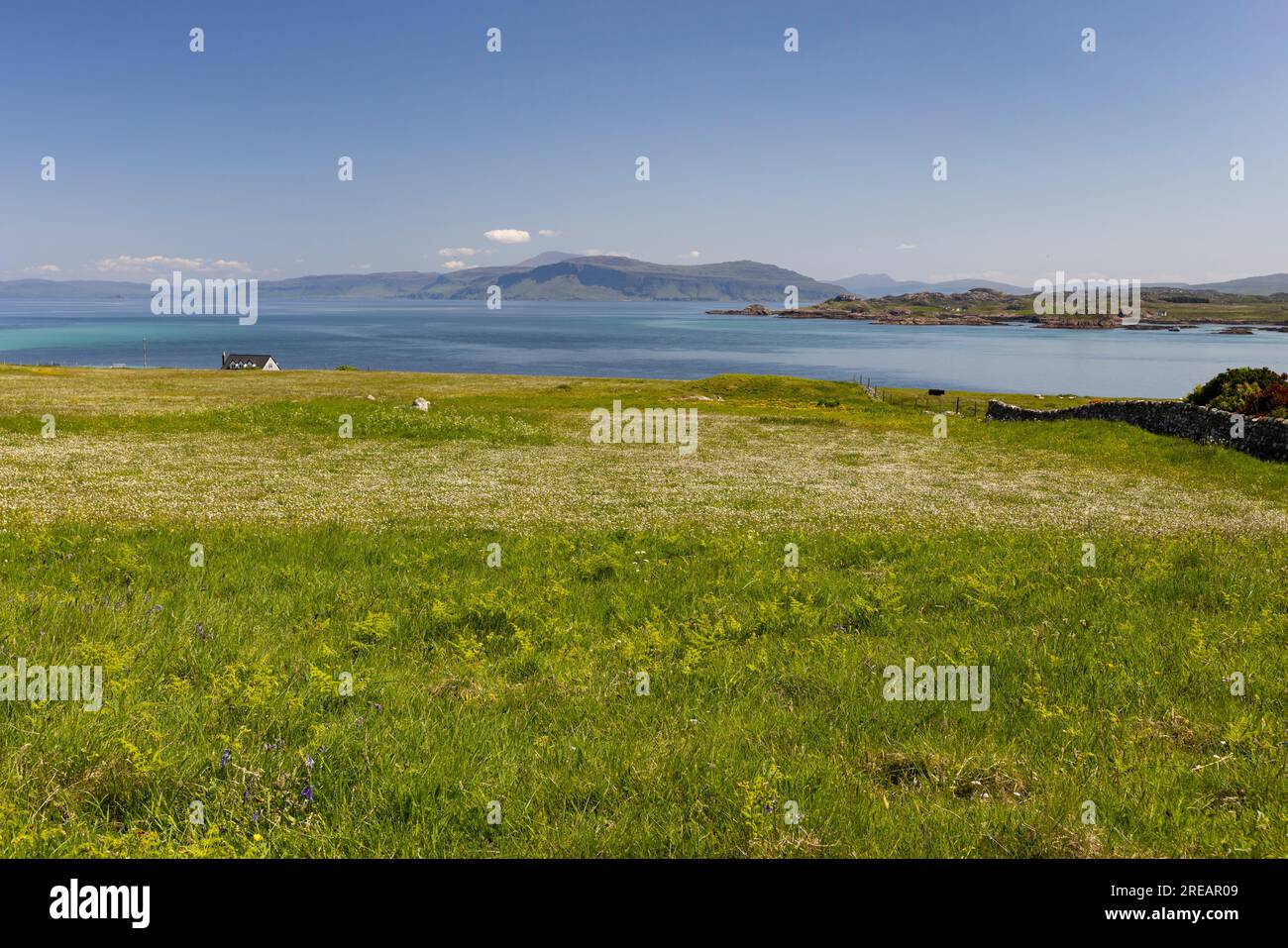 Landscape view of machair, Iona, Argyll & Bute, Scotland, UK, June ...