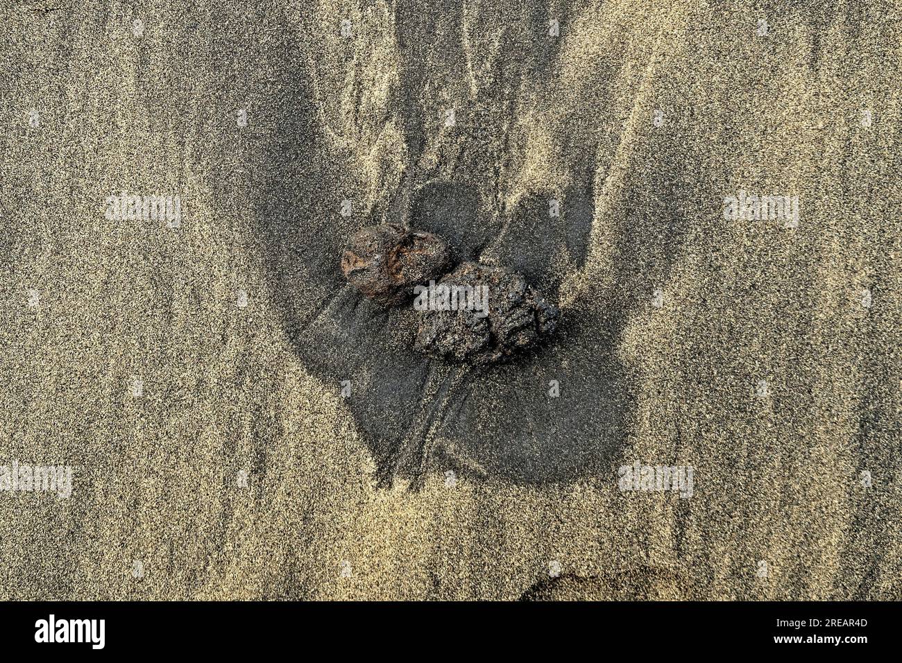 Two rough dark irregular basalt lava stones on the beach Stock Photo ...
