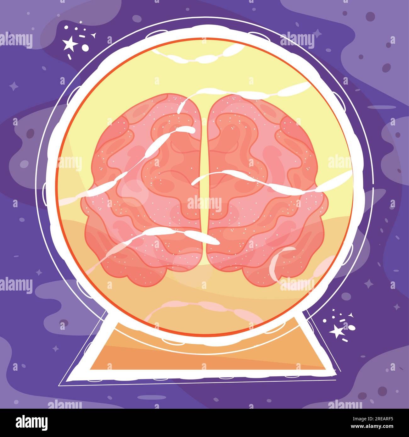 Isolated colored crystal ball with a brain inside Vector Stock Vector ...