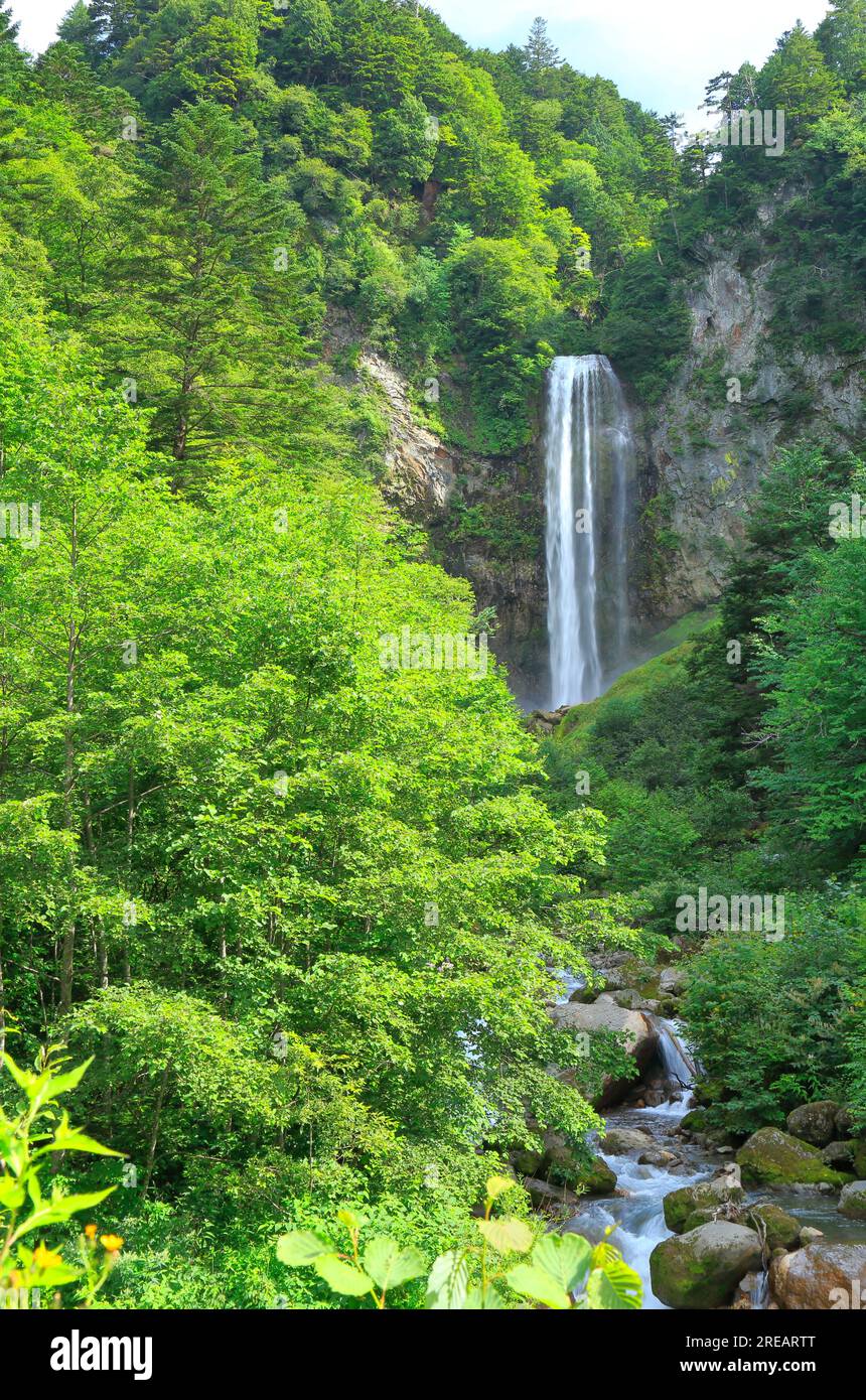 Hirayu otaki falls Stock Photo - Alamy