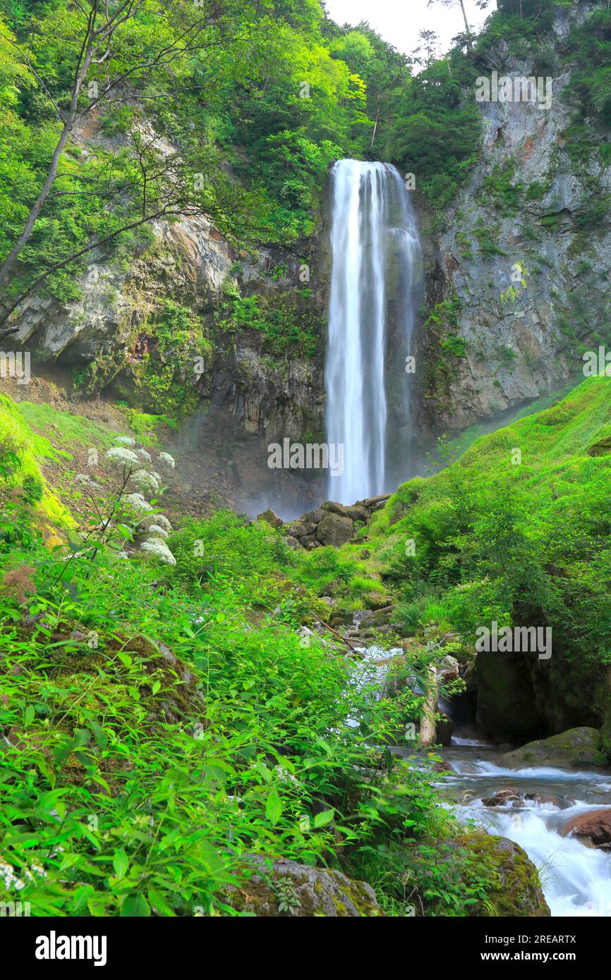 Hirayu otaki falls Stock Photo - Alamy