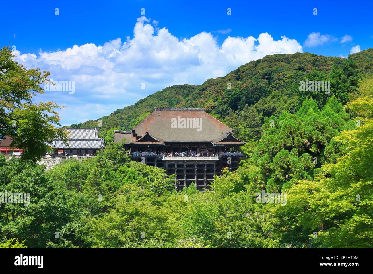 Kiyomizu Temple in summer Stock Photo - Alamy