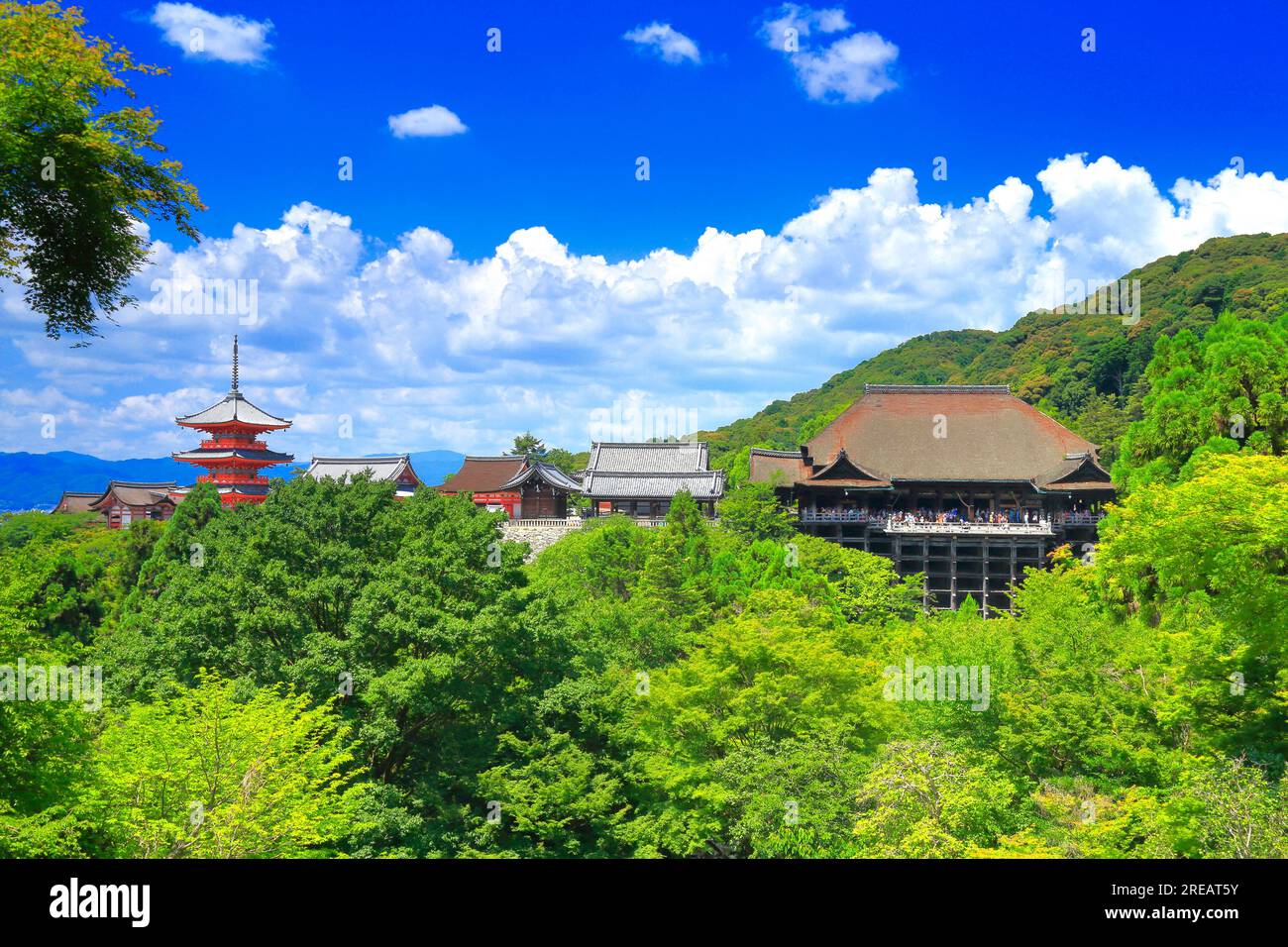 Kiyomizu Temple in summer Stock Photo - Alamy