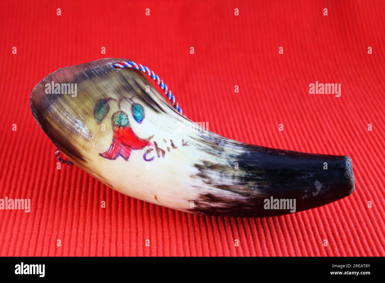 National Holidays, Chile, bull horn used for drinking (chicha en cacho ...