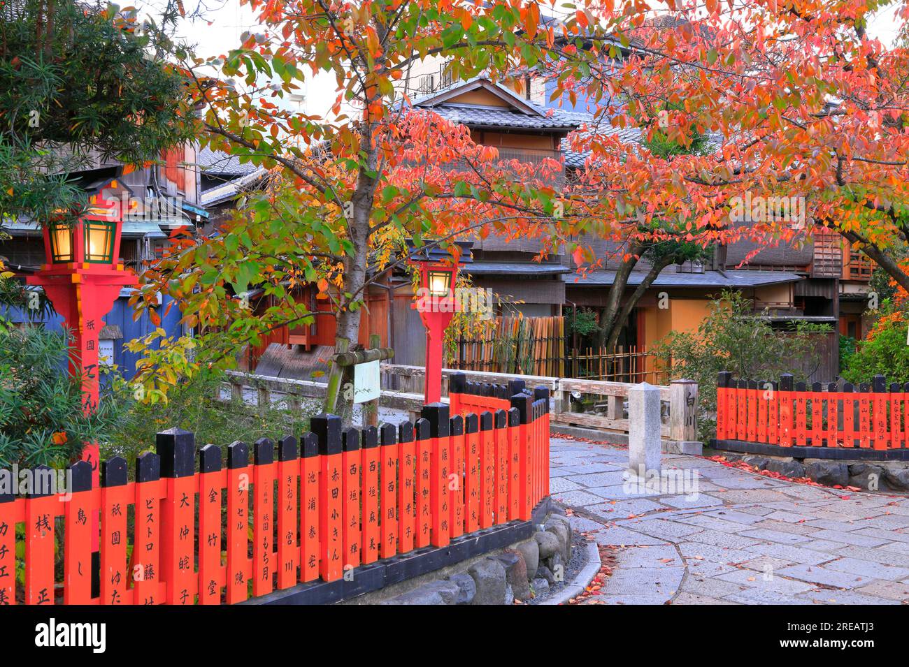 Gion of Autumn Leaves Stock Photo - Alamy
