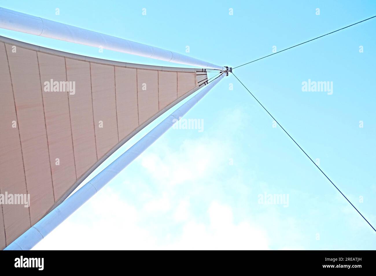 Tall urban architecture structure with two white pylons, wire stays and ...