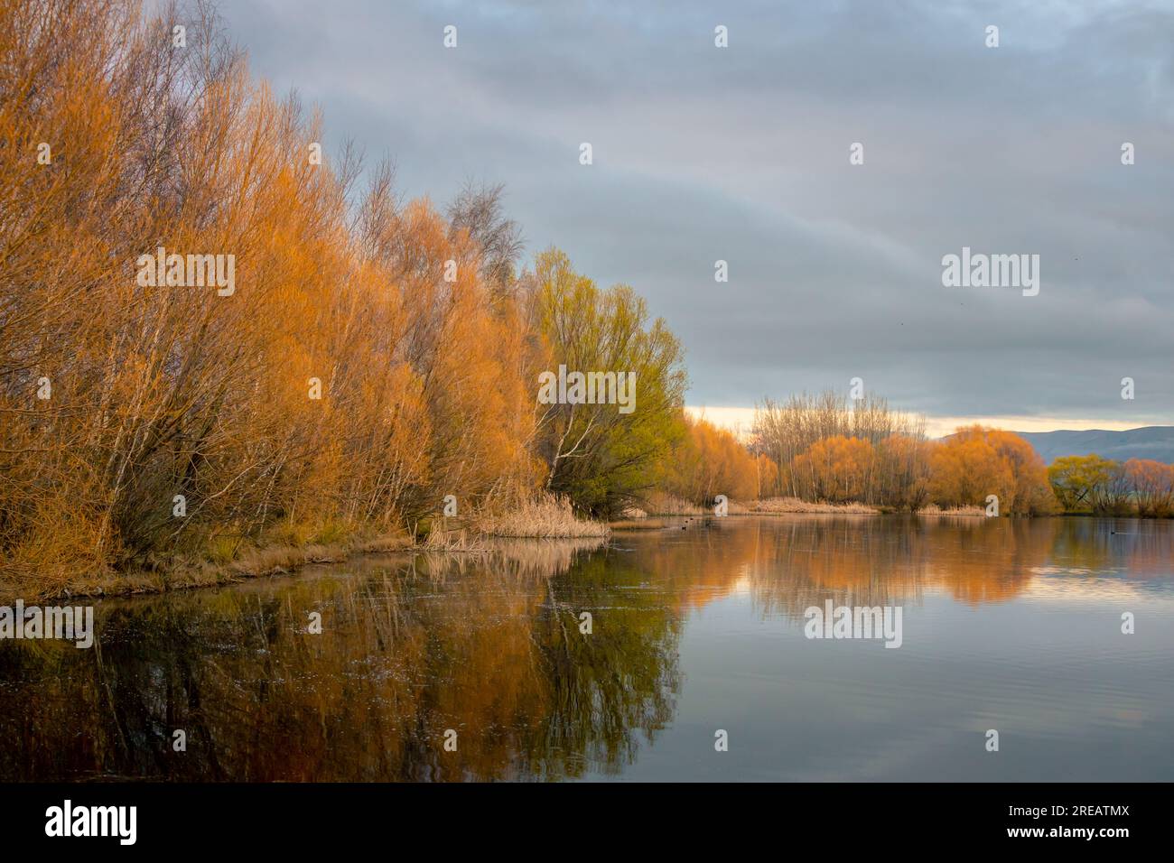 Reflection tranquility lakeside reeds hi-res stock photography and ...
