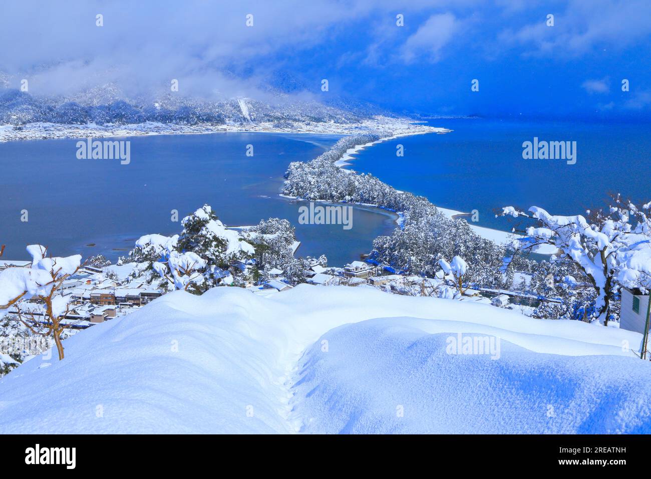 Avenue of pines hi-res stock photography and images - Alamy