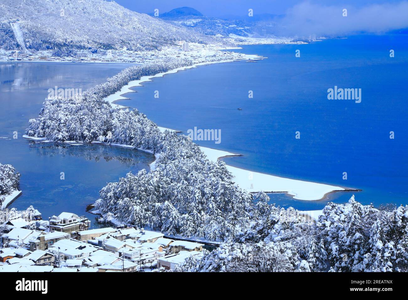 Avenue of pines hi-res stock photography and images - Alamy