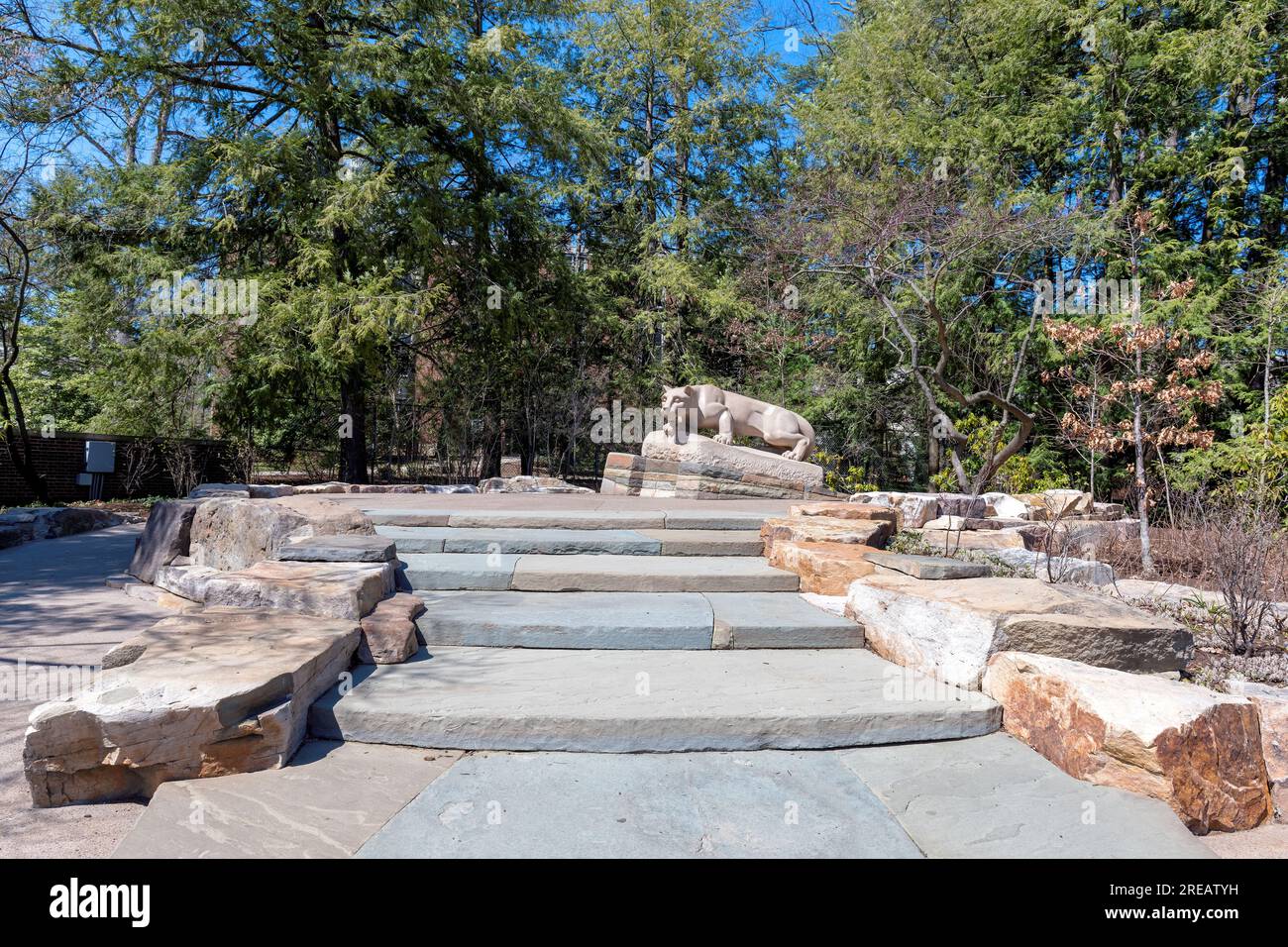 Lion campus hi-res stock photography and images - Alamy