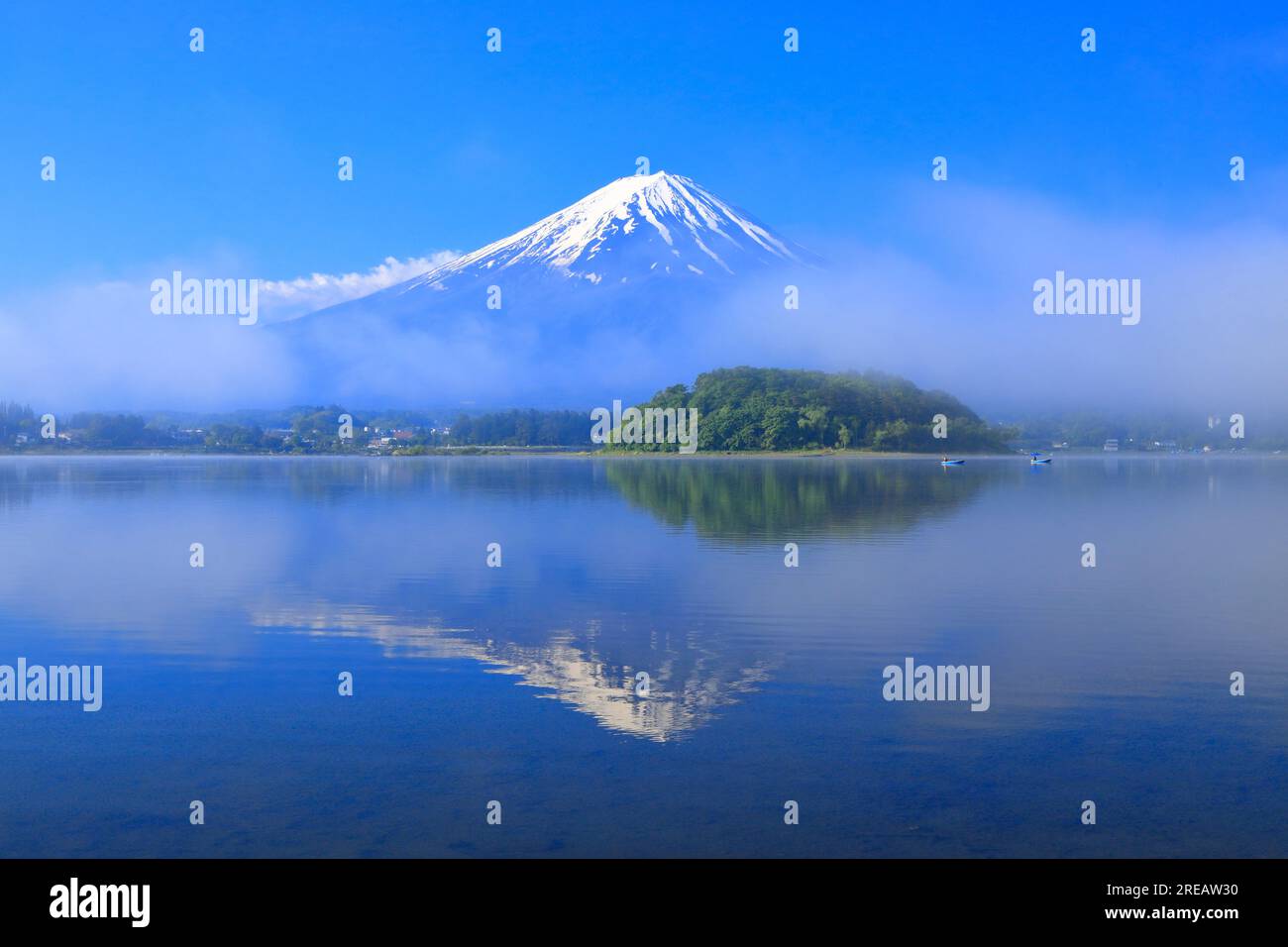 Fresh Green Mt. Fuji and Lake Kawaguchi Stock Photo - Alamy