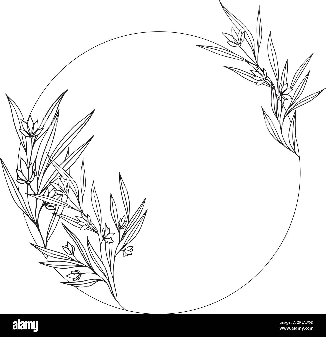 Vector hand drawn botanical circle frame with flowers. Elegant minimal ...