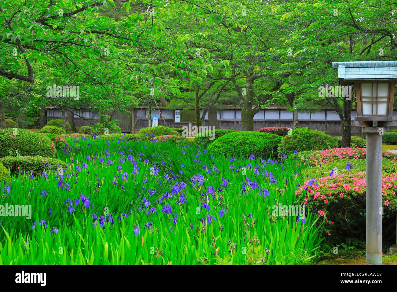Spring kenrokuen gardens japan hi-res stock photography and images - Alamy