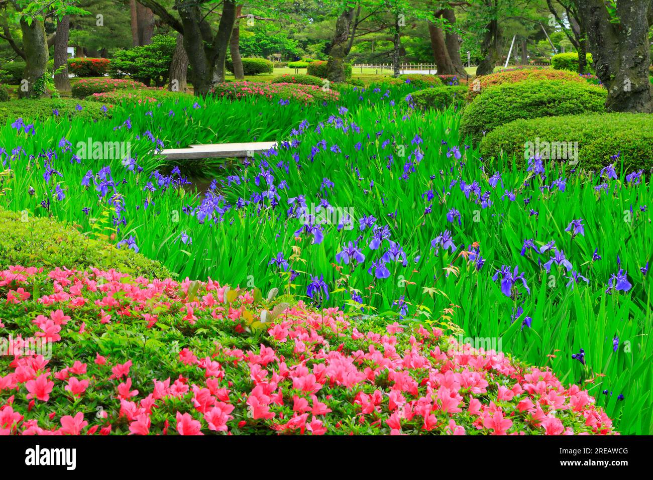 Spring kenrokuen gardens japan hi-res stock photography and images - Alamy