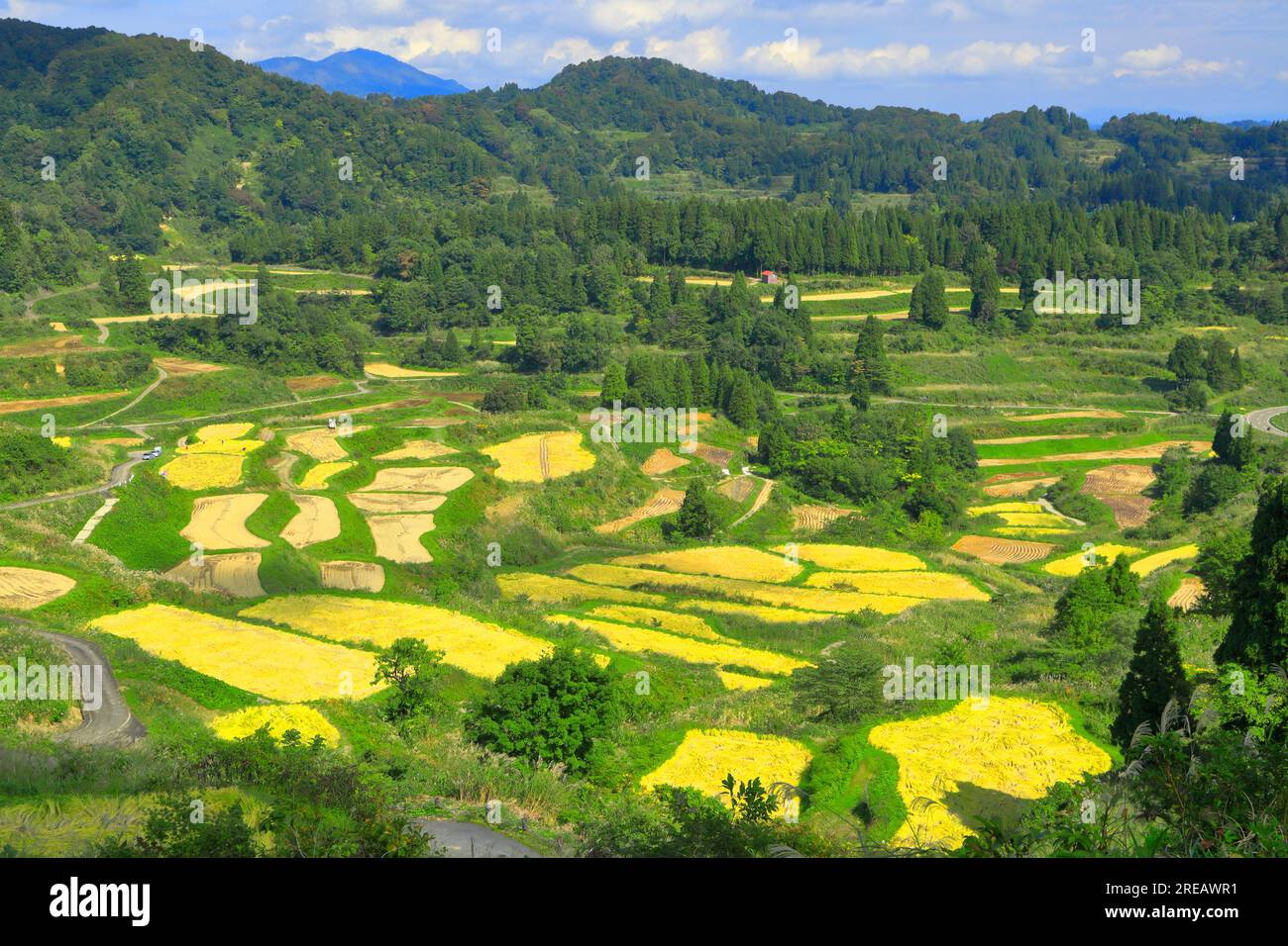 Rice terraces of Hoshitoge Stock Photo - Alamy