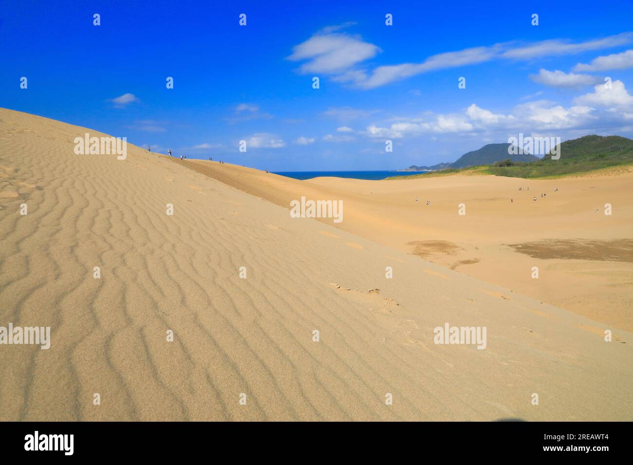 Tottori Sand Dunes Stock Photo - Alamy