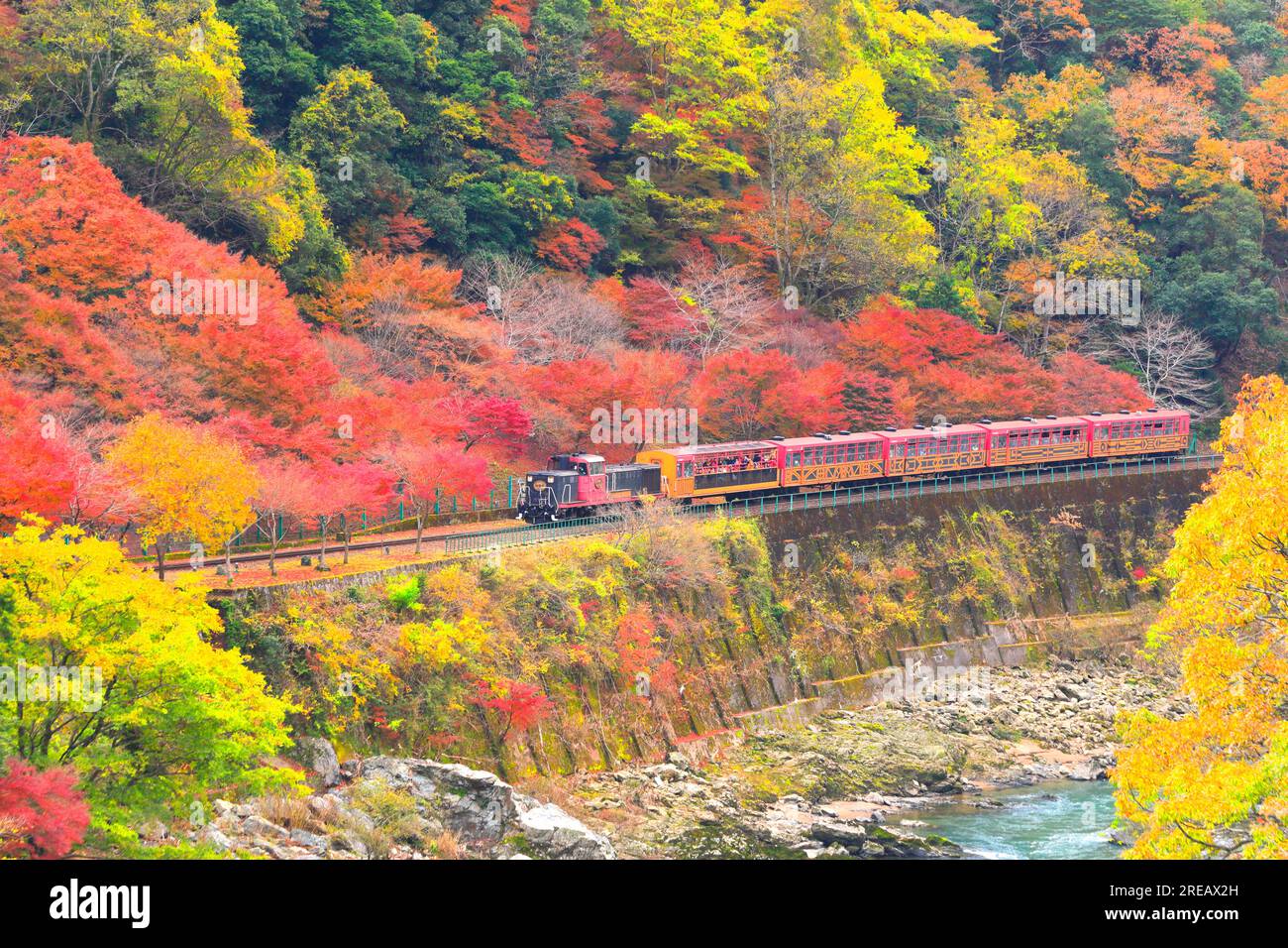 Trolley train in autumn leaves Stock Photo - Alamy