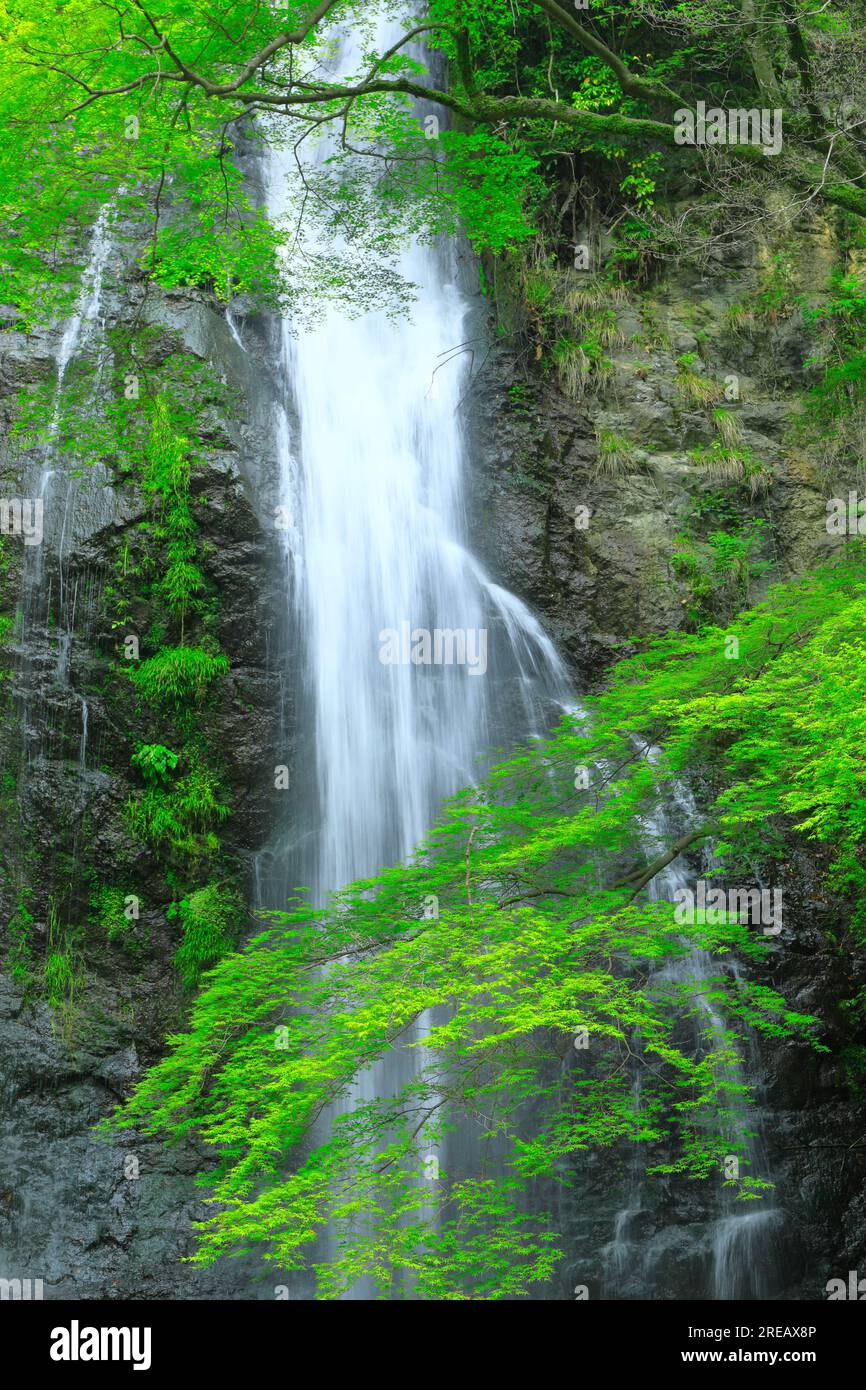 Mino no taki hi-res stock photography and images - Alamy