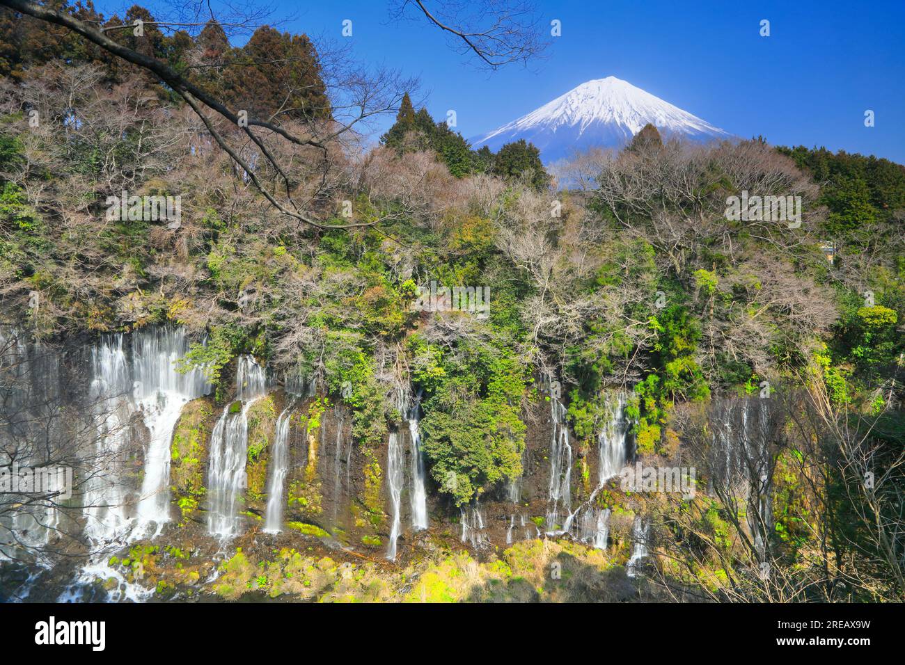 Shiraito waterfalls in shizuoka hi-res stock photography and images - Alamy