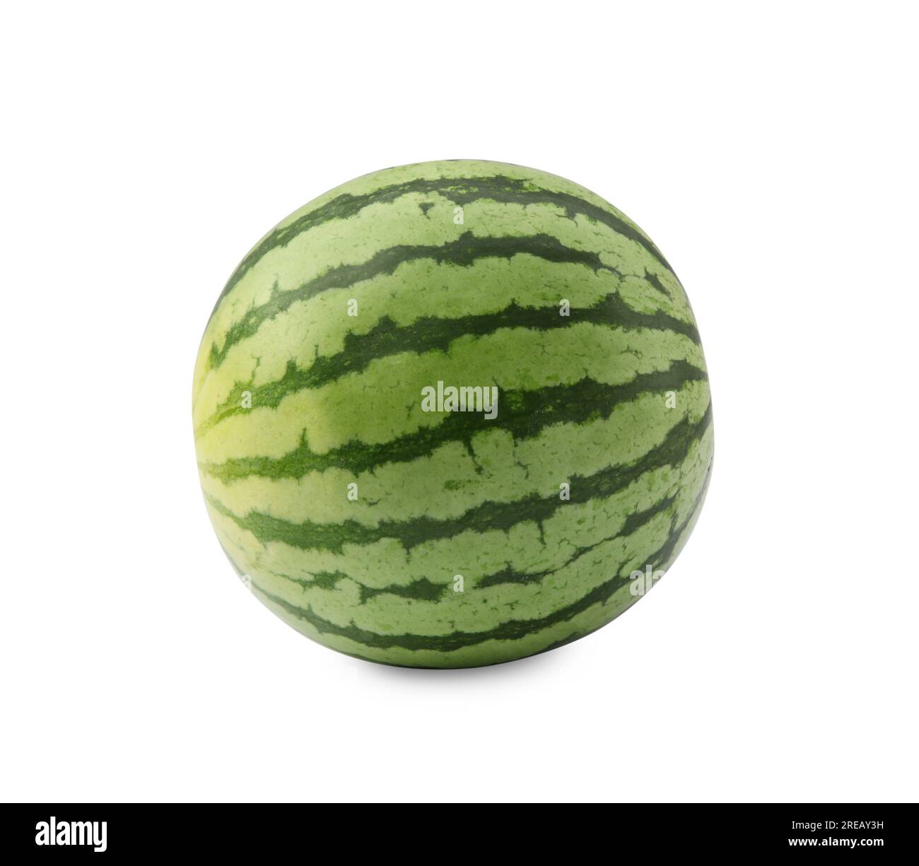One ripe whole watermelon hi-res stock photography and images - Alamy