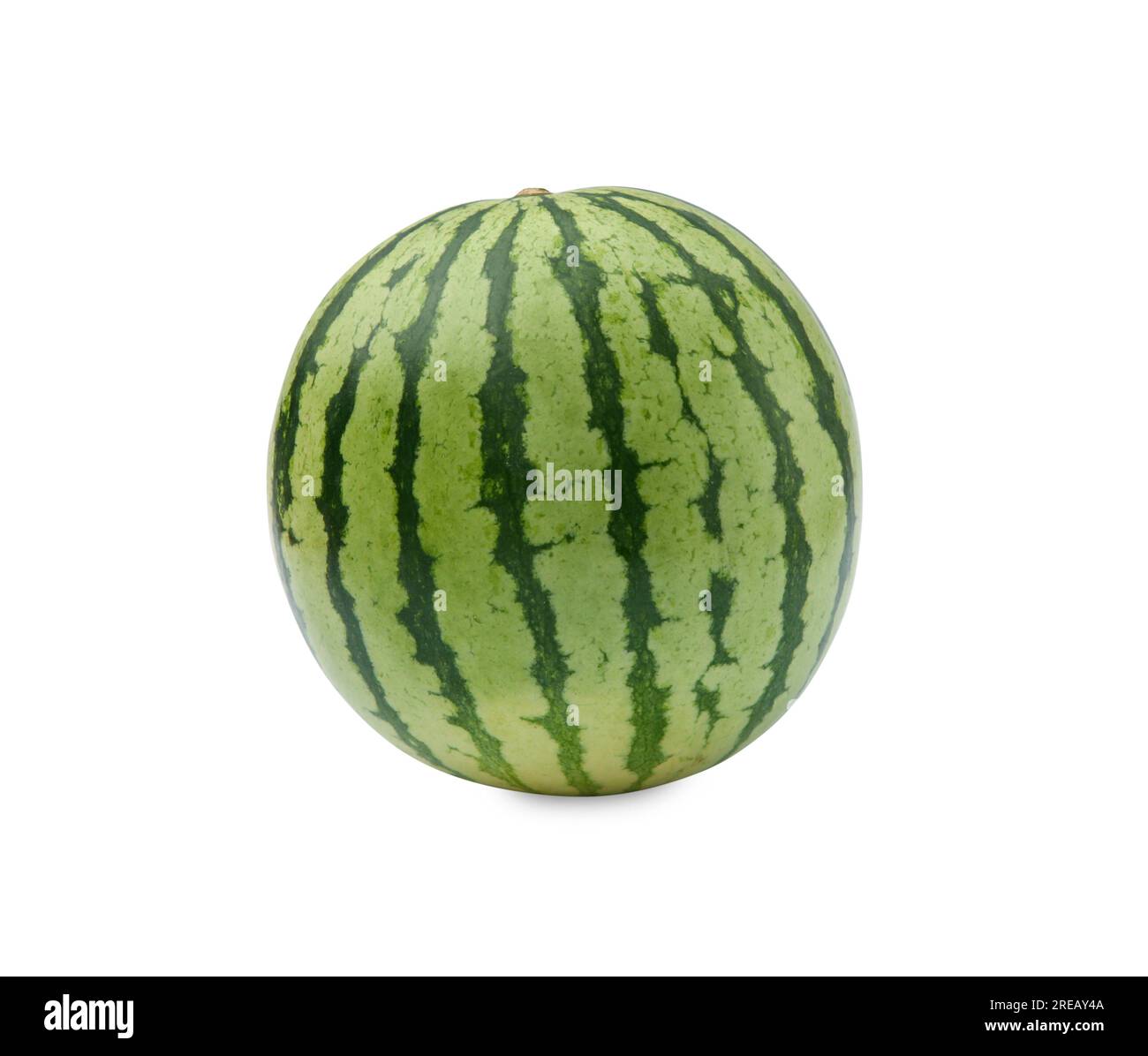 One ripe whole watermelon hi-res stock photography and images - Alamy