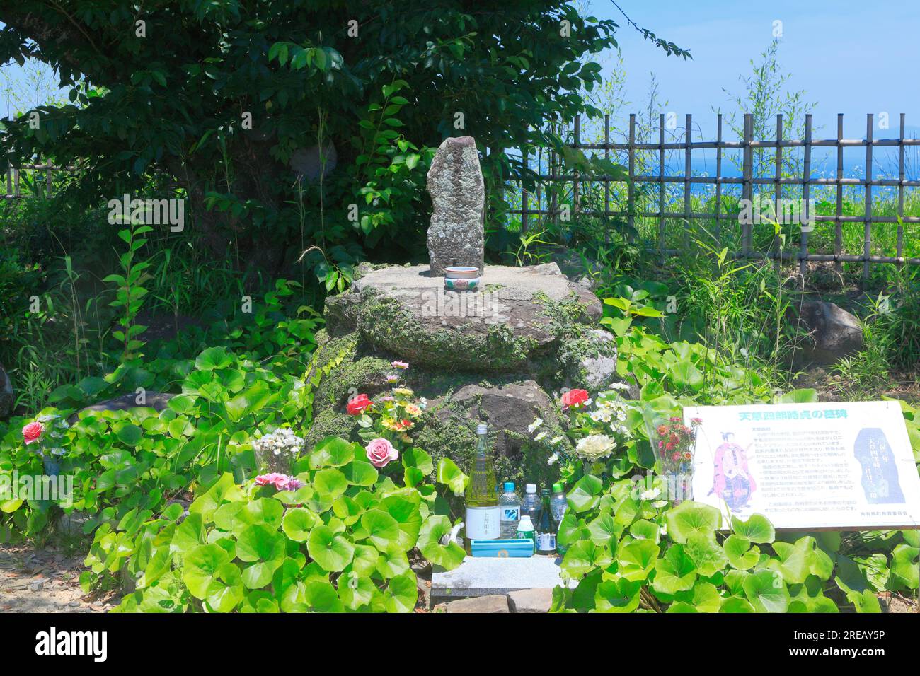 Ruins of Hara Castle Stock Photo - Alamy