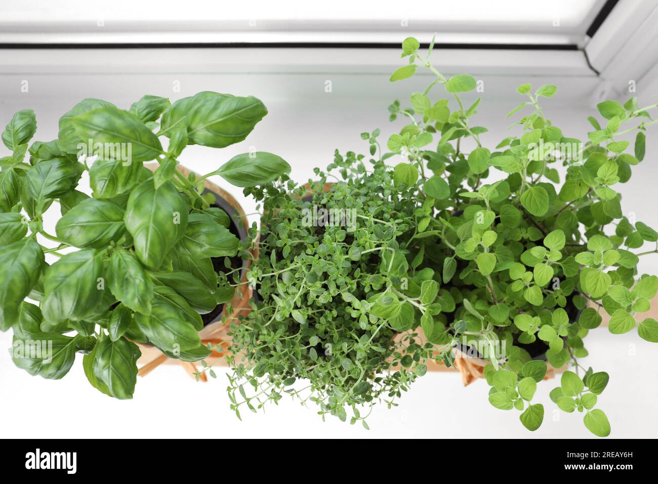 Windowsill potted herbs view hi-res stock photography and images - Alamy