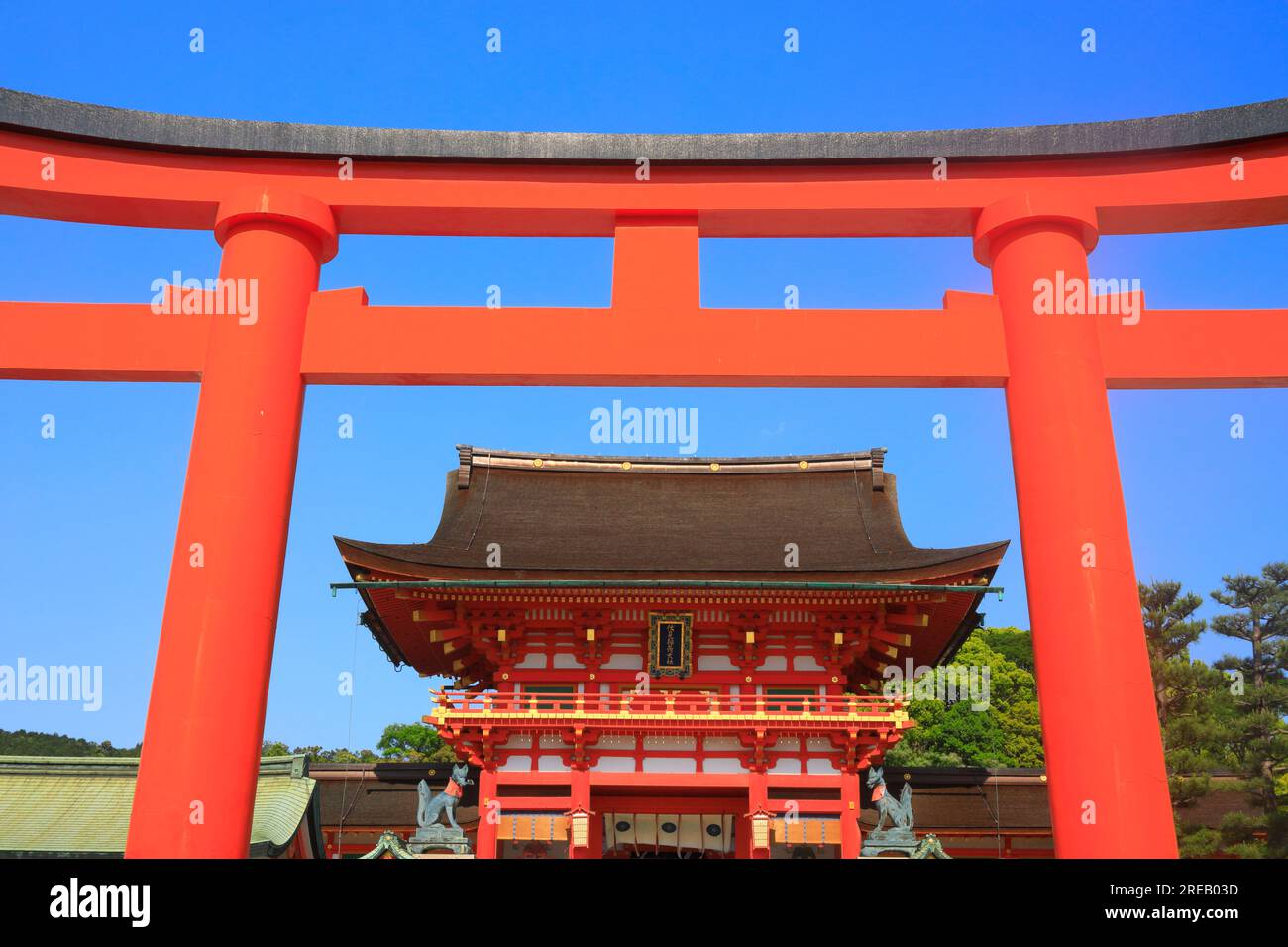 Fushimi inari shrine spring hi-res stock photography and images - Alamy