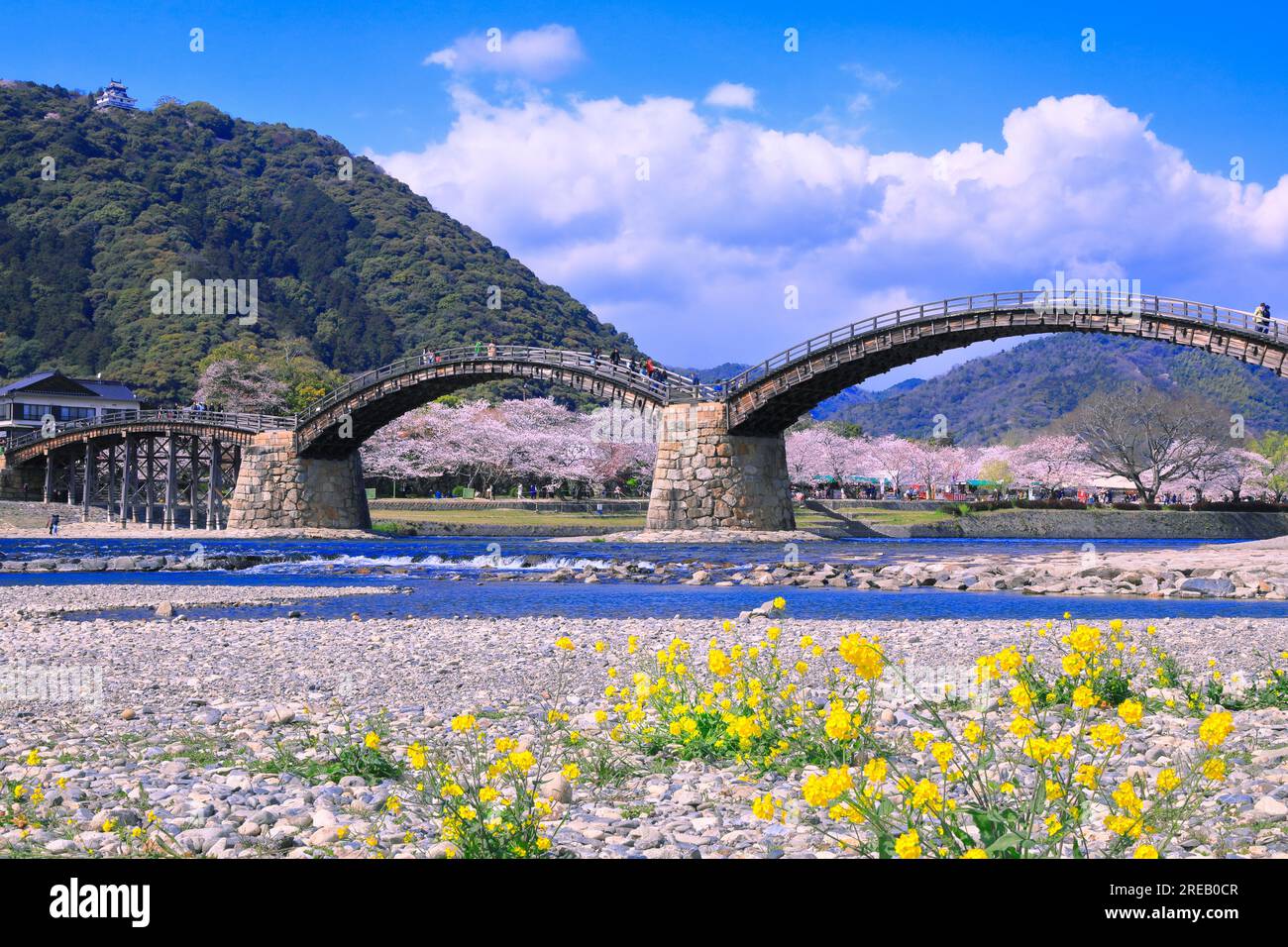 Kintai Bridge in spring Stock Photo - Alamy