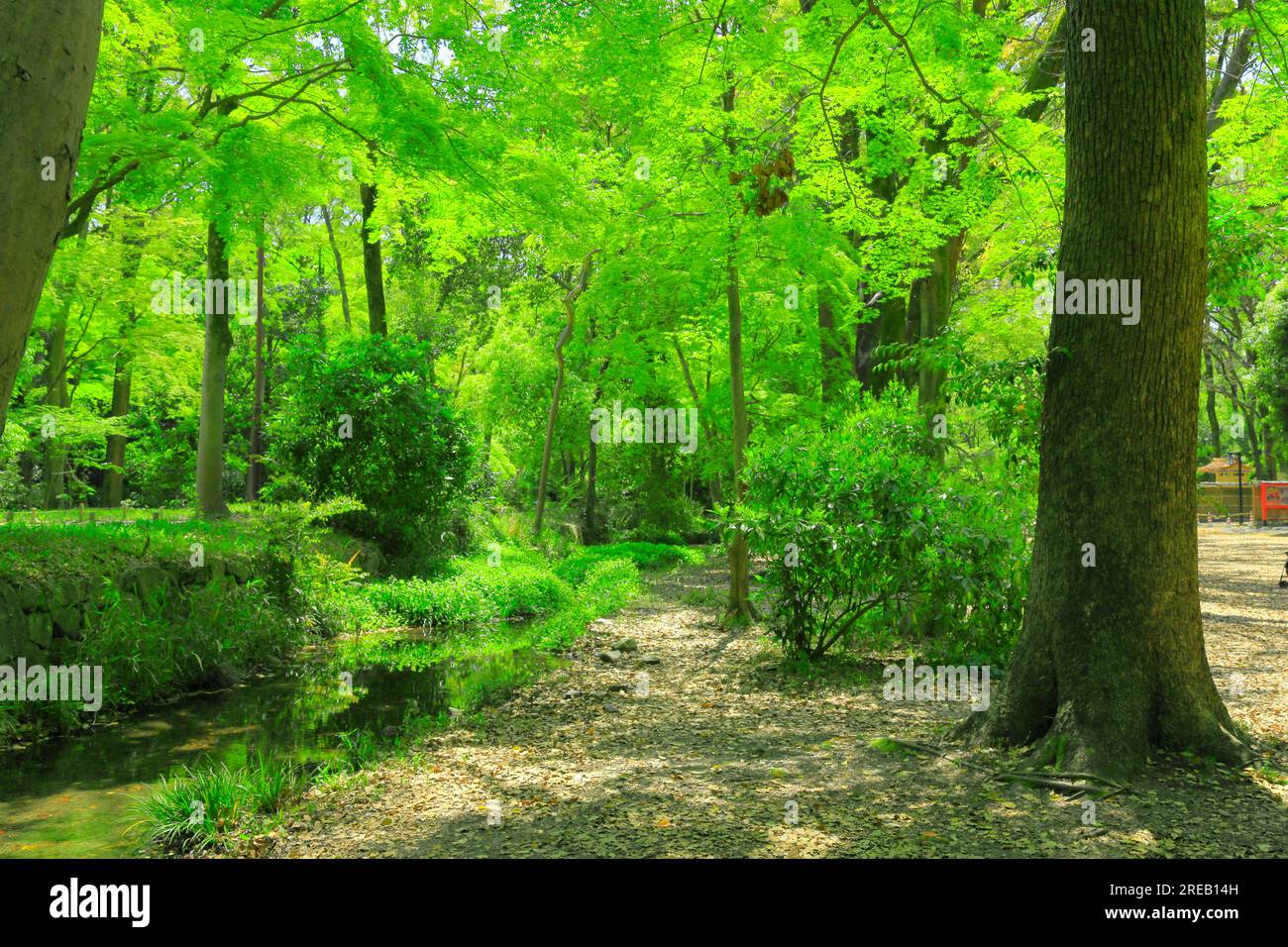 Shrine tunnel hi-res stock photography and images - Alamy