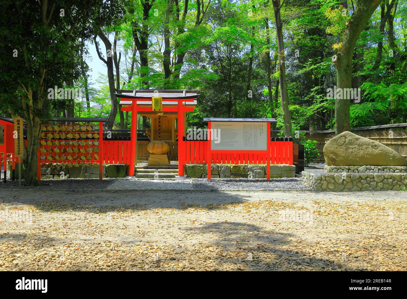 Shimogamo Shrine in fresh green Stock Photo - Alamy
