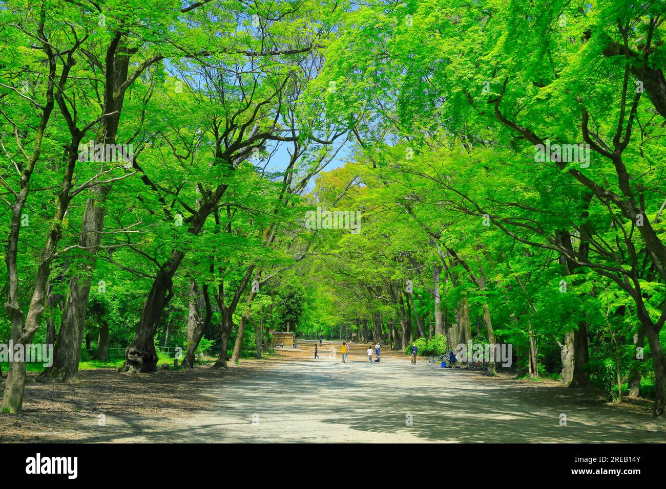 Shrine tunnel hi-res stock photography and images - Alamy