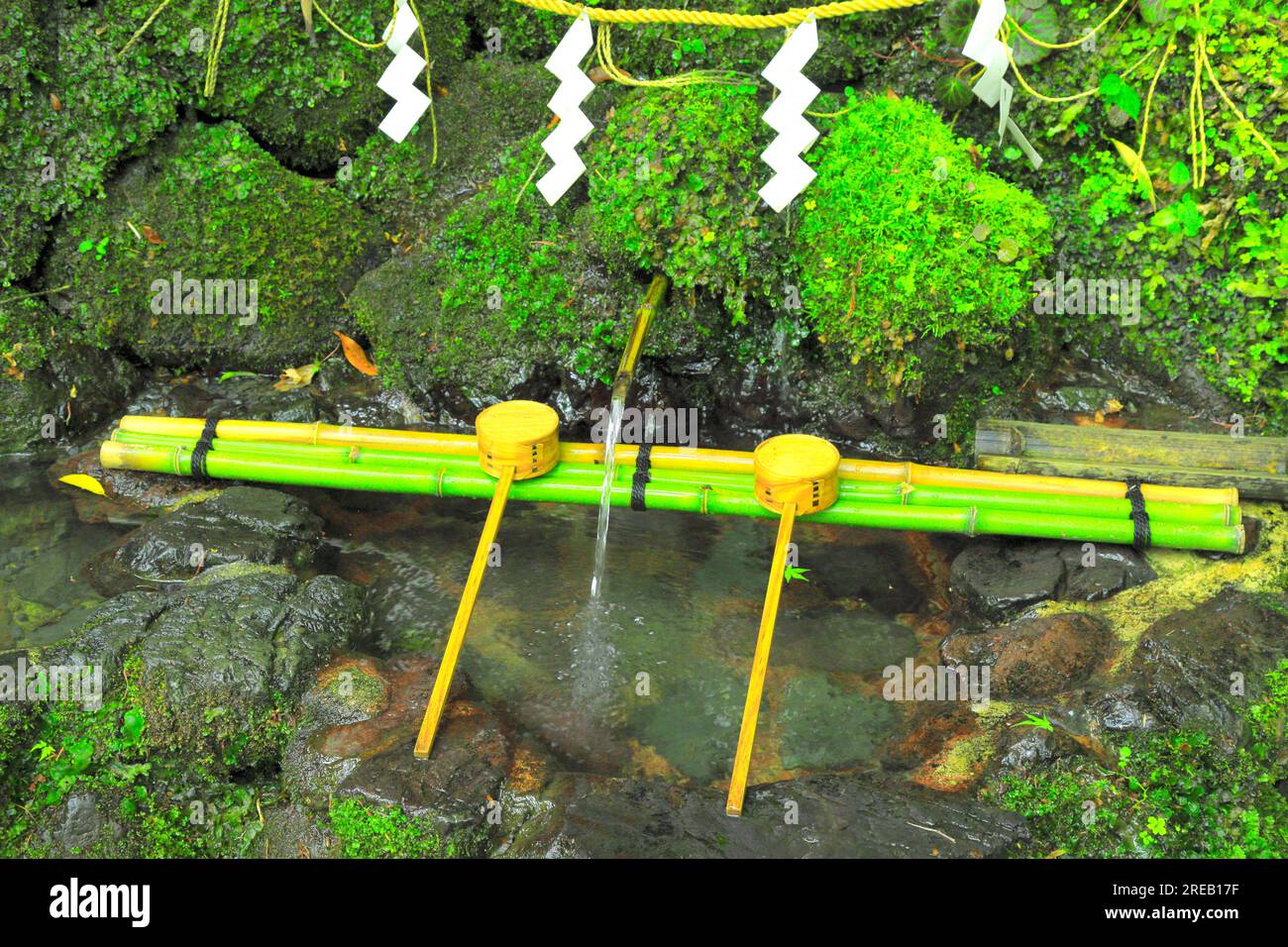 Unboiled water hi-res stock photography and images - Alamy