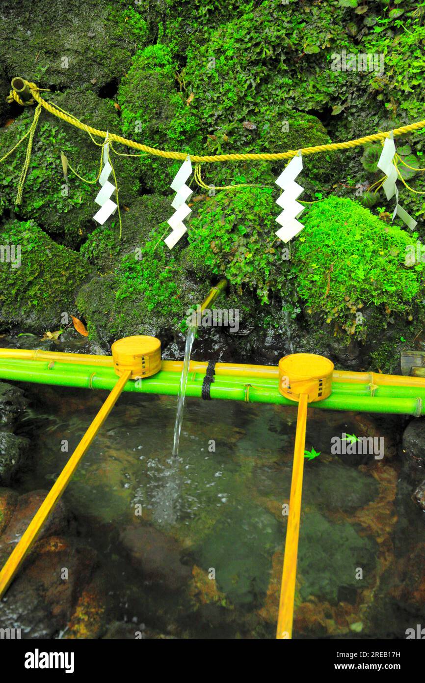 Shrine shide hi-res stock photography and images - Alamy