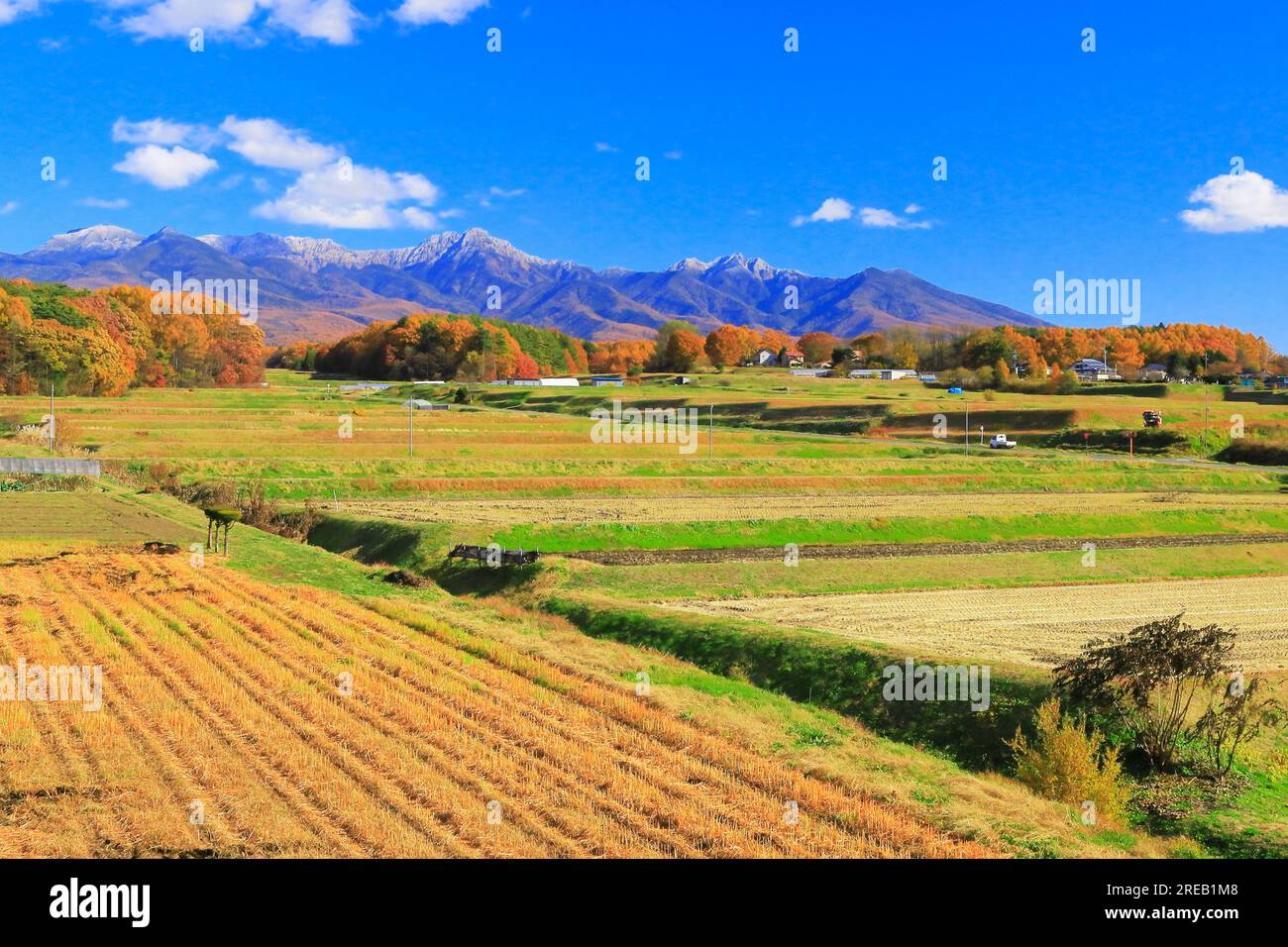 Feel the color hi-res stock photography and images - Alamy