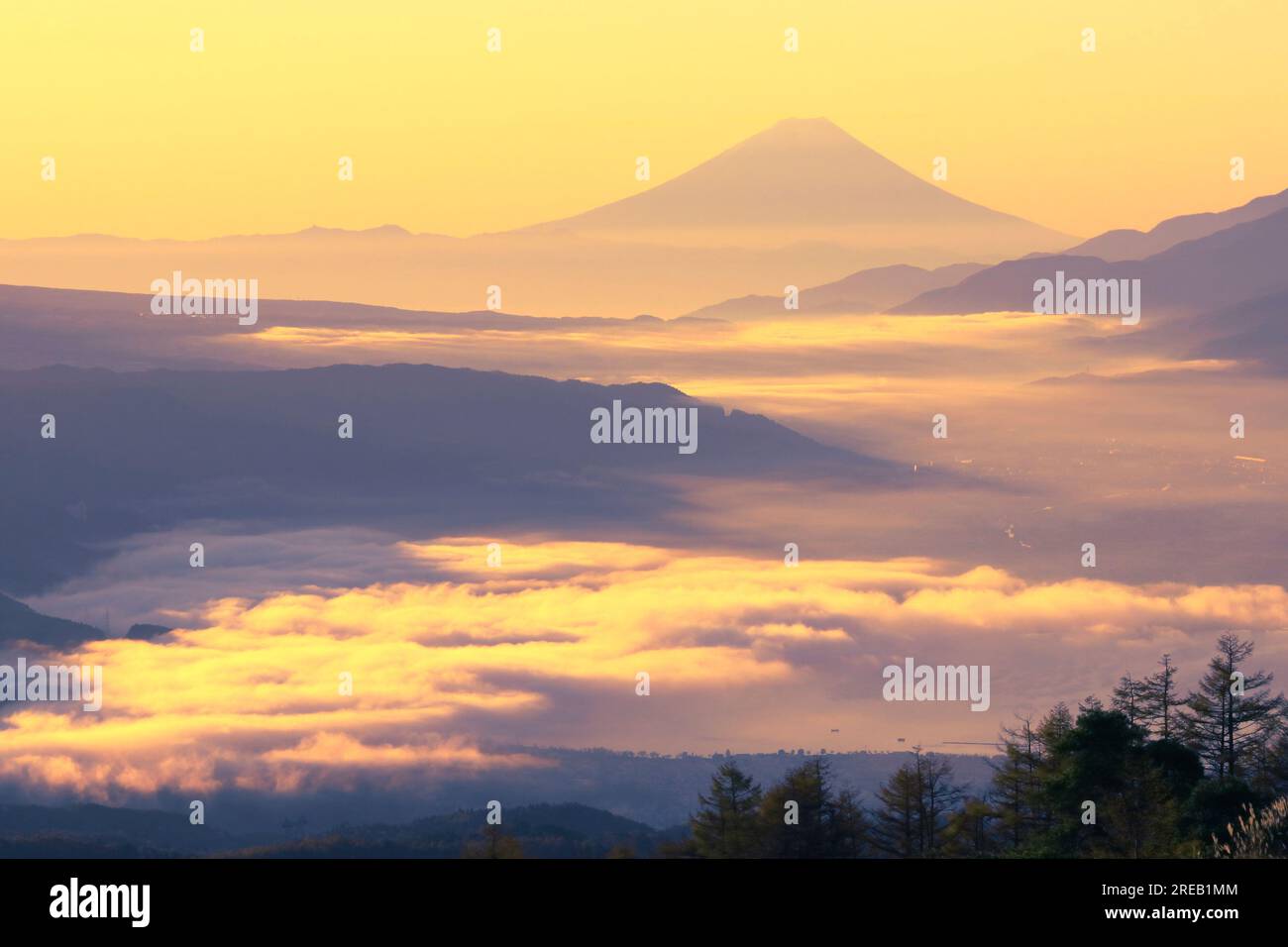 Fuji at dawn from the Takabotchi Plateau Stock Photo - Alamy