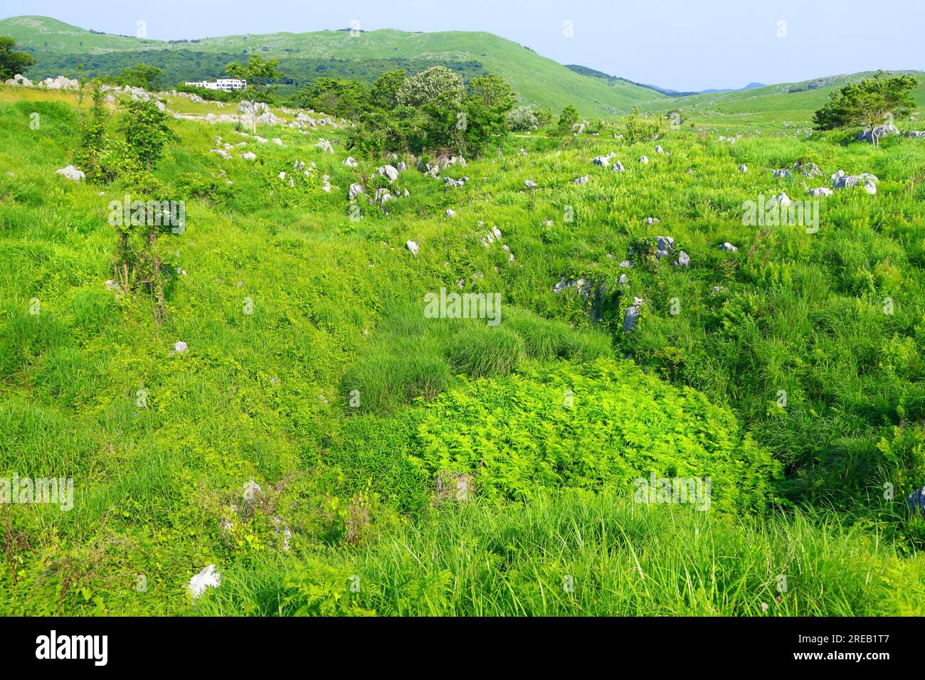 Doline in Akiyoshidai Stock Photo - Alamy